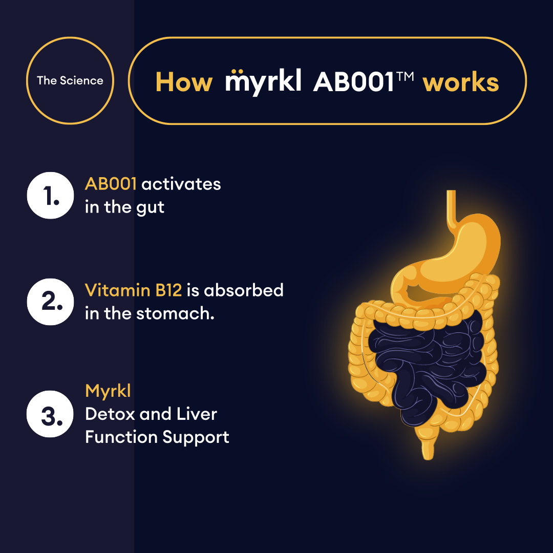 Myrkl - Enjoy socialising without sacrificing the next day